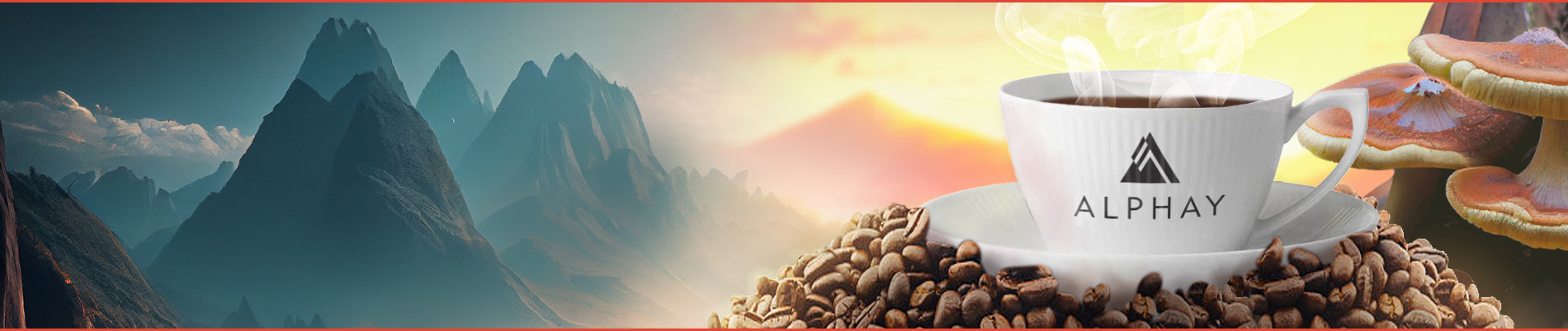 Cafe Blends – Alphay USA