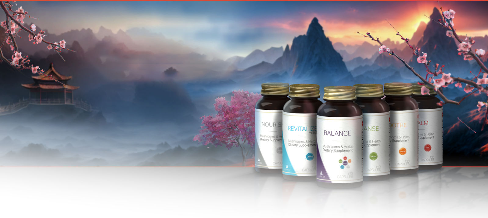 Sales – Alphay USA